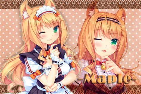 NEKOPARA Maple Wallpaper By Seira Hirano On DeviantArt