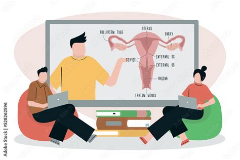 Vector De Stock Sex Education Doctor Showing Structure Of Female Reproductive System On