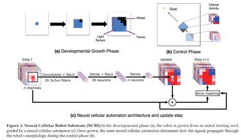 Evolving Soft Robots Institutt For Informatikk