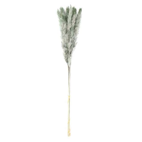 Trawa Suszona X10 Pampasowa Ozdobna Naturalna Susz 11136213984 Oficjalne Archiwum Allegro