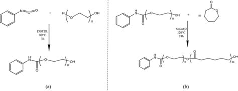 Blockage Of The Oh Function Of Peg By Phenyl Isocyanate A Peg Pcl