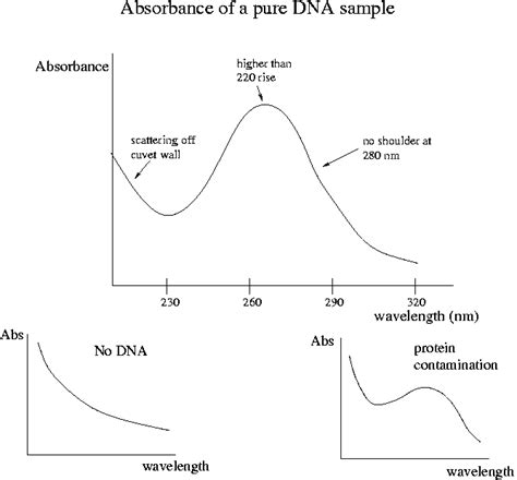 How To Interpret Nanodrop Results Images