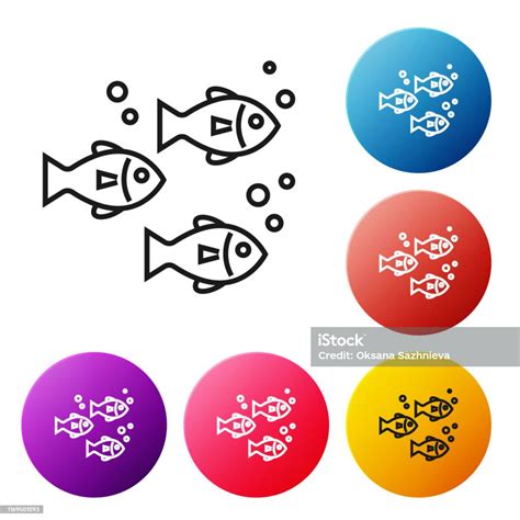 흰색 배경에 격리 된 검은 선 물고기 아이콘입니다 아이콘 다채로운 원 버튼을 설정합니다 벡터 일러스트레이션 강에 대한 스톡 벡터 아트 및 기타 이미지 Istock