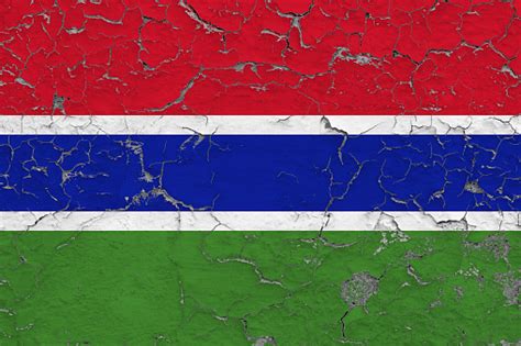 감비아의 국기는 금이 더러운 벽에 그린 빈티지 스타일 표면에 국가 패턴입니다 0명에 대한 스톡 사진 및 기타 이미지 0명