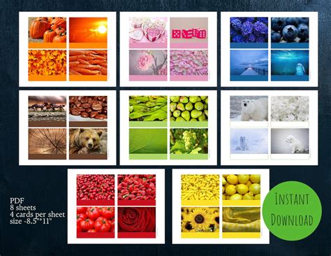 Colors Sorting Game Sorting Activity Dementia Etsy