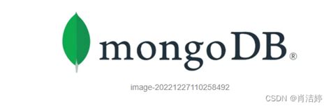 Mongodb基本操作与部署副本集和分片应用mongo 分片和副本集 Csdn博客