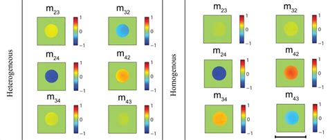 Mueller Matrix Elements Obtained From Polarized Light Imaging