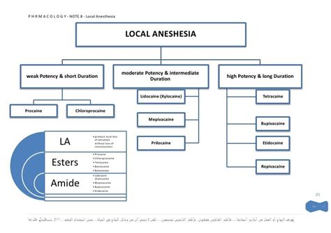 Local Anesthesia Medications At Johnny Moe Blog
