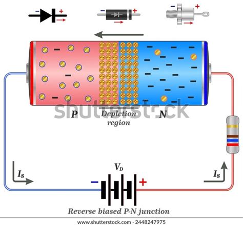 Diode Reverse Bias Condition Where External Stock Vector Royalty Free
