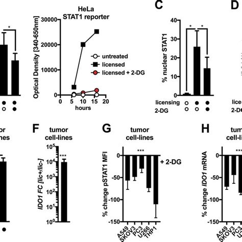 Inflammatory Signals Trigger The Jak2 Stat1 Pathway Activation Of