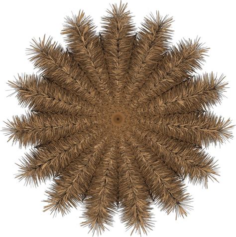 Circular Hairy Disk Royalty Free Photos And Stock Images Shutterstock