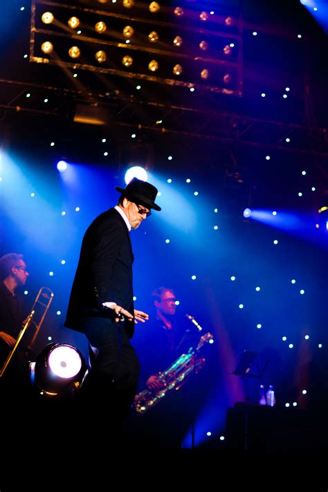 무료 이미지 밤 음악회 밴드 청중 살고 있다 정경 공원 음악가 2014 네덜란드 제전 에오스 헤이그 40d 작살 덴 하그 단계 광기