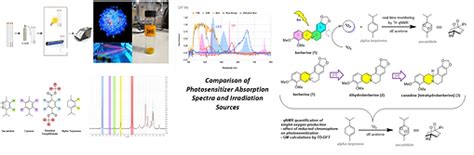 Senior Scholar Scientist Award Asdrp