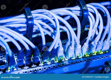 Network Ethernet Cables Plugged In Switch Stock Image Image Of Information Telecommunication