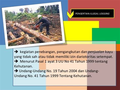 Detail Contoh Illegal Logging Koleksi Nomer 53