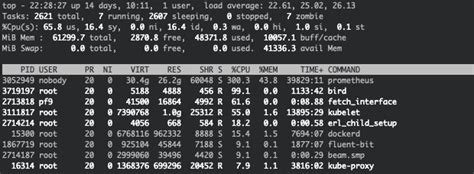 Bird Cpu Usage Is Almost Always 100 · Issue 95 · Projectcalicobird · Github