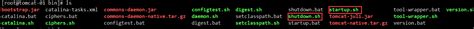 Tomcat安装、使用及搭建nginxtomcat服务器tomcat安装、使用及搭建nginxtomcat服务器 Csdn Csdn博客