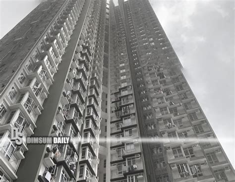 Man Falls From Lai Tat House In On Tat Estate Sau Mau Ping And Succumbs To Injuries Dimsum Daily