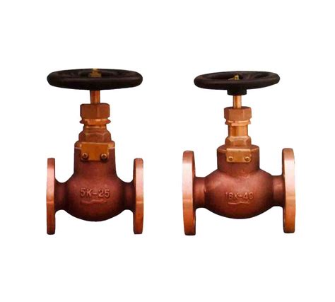 Globe Valve Types And Specifications At Maggie Pagan Blog