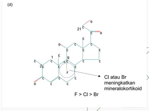 Hubungan Kualifikasi Struktur Aktifitas Hormon Steroid Ppt
