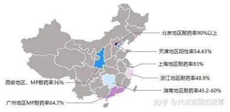 肺炎支原体核酸及耐药基因检测——早期预判病情，精准指导用药 知乎