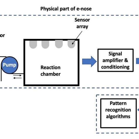 Pdf Applications Of Electronic Nose E Nose And Electronic Tongue E Tongue In Food Quality