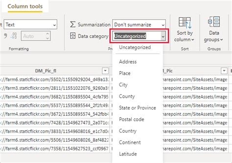 power bi desktop 中的数据分类 power bi microsoft learn