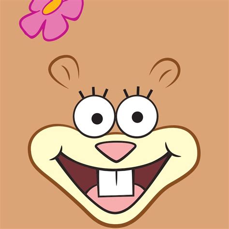 Sandy Big Face Beach Towel White 30 In X 60 In Sandy Cheeks New