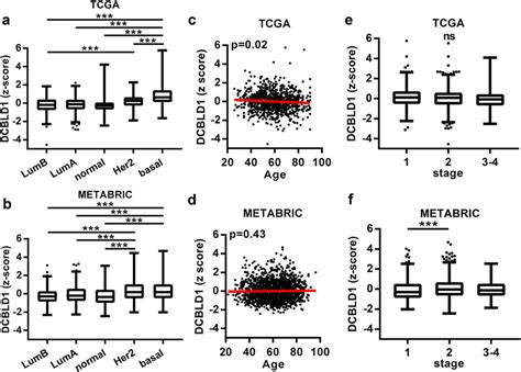 Dcbld1 In The Tcga And Metabric Cohorts Of Invasive Breast Cancer Download Scientific Diagram