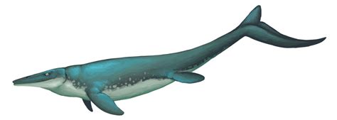 Ectenosaurus By Gasmaskmax On Deviantart