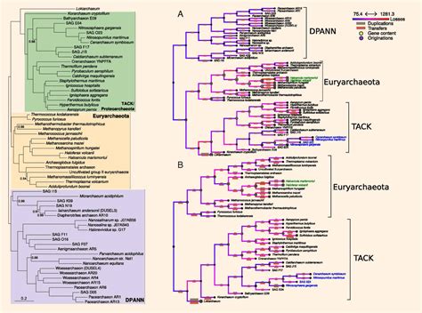Scientists Improve Evolutionary Tree Of Life For Archaea Sci News