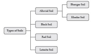 Soil Resources ICSE Class 10 Geography Notes Download PDF