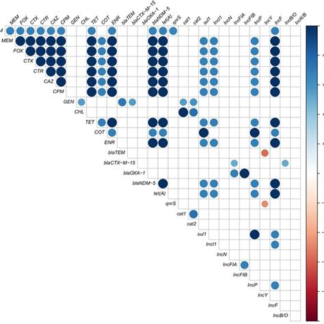 Correlation Matrix Illustrating The Significant Correlation Phi