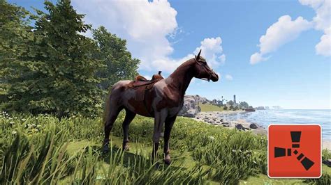 Rust How To Get Ninja Suit Is It Possible Gamer Empire