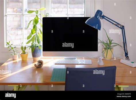 Pc Computer Monitor On The Desk By The Window With Green Plant