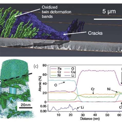 A 3d Atom Probe Tomography Reconstruction Of An Irradiated Rpv Steel