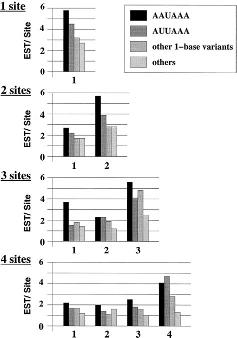 Patterns Of Variant Polyadenylation Signal Usage In Human Genes