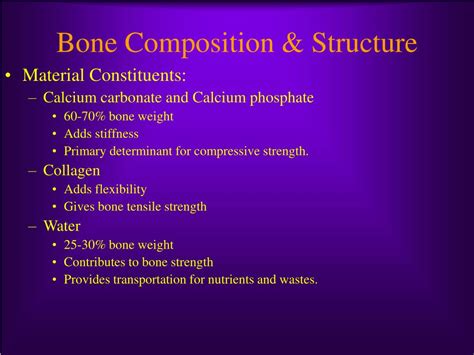 Ppt Bone Structure Growth And Development Powerpoint Presentation