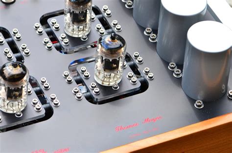 Vinylsavor Another E55l Lcr Phono Preamplifier