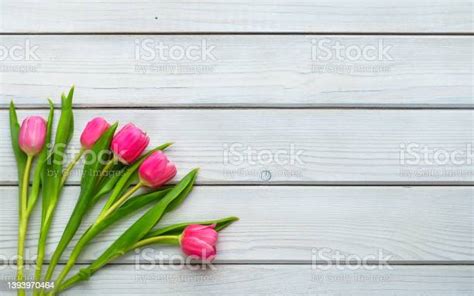 휴일 봄 배경 하얀 나무 배경에 화려한 튤립 꽃 발렌타인 데이 여성의 날 및 어머니의 날을위한 복사 공간이있는 인사말 카드 상단 보기 0명에 대한 스톡 사진 및 기타 이미지