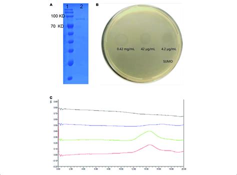 Expression And Depolymerization Activity Of Recombinant Depolymerase
