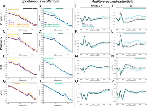 Effects Of Gabaaδ Receptor Mediated Tonic Inhibition On Oscillatory Download Scientific Diagram