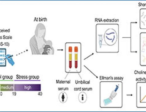 New Machine Learning Tool Enhances Cancer Detection In Single Cell Rna Sequencing Rna Seq Blog