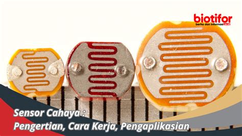 Sensor Cahaya Pengertian Cara Kerja Pengaplikasian