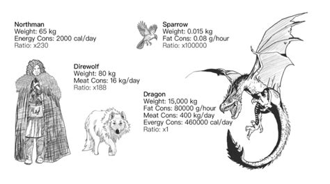 不容错过的数学建模绘图软件概览！！ 知乎