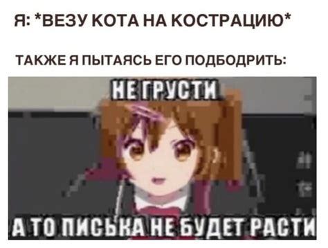 ﻿Я ВЕЗУ КОТА НА КОСТРАЦИЮ ТАКЖЕ Я ПЫТАЯСЬ ЕГО ПОДБОДРИТЬ А ТО ПИСЬКА НЕ БУДЕТ РАСТИ Приколы