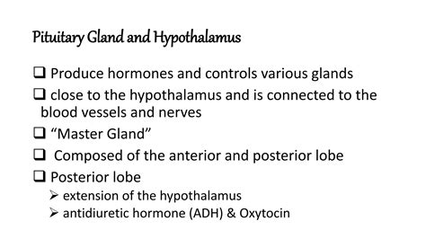 The Endocrine Nervous And Reproductive Systempptx