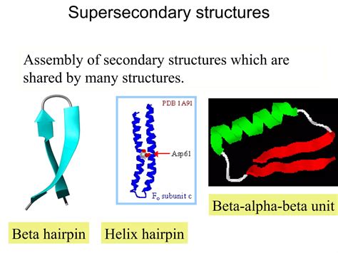 Protein Structure Databases And Structural Alignment Ppt Databases Computer Software And