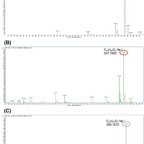 Lc Q Tof Mass Spectrum Of A Arnicolide D B Arnicolide C And C