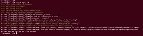 How To Install Puppet Server And Agent On AlmaLinux 9